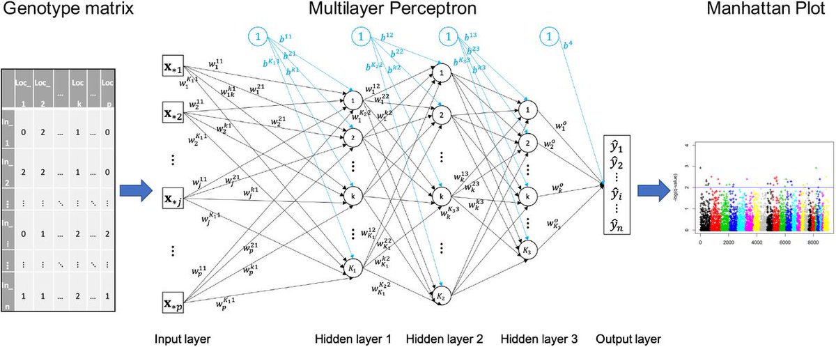 Deciphering signatures of natural selection via deep learning | Qin ... Deciphering signatures of natural selection via deep learning | Qin ...
